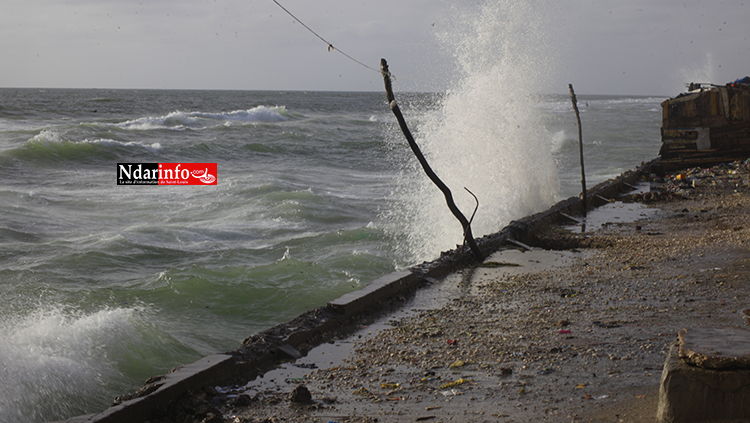 Lutte contre l’avancée de la mer : les caractéristiques de la digue de ...